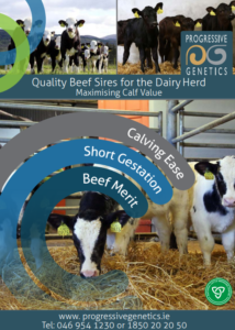 Dairy & Beef Sires Catalogues | Progressive Genetics