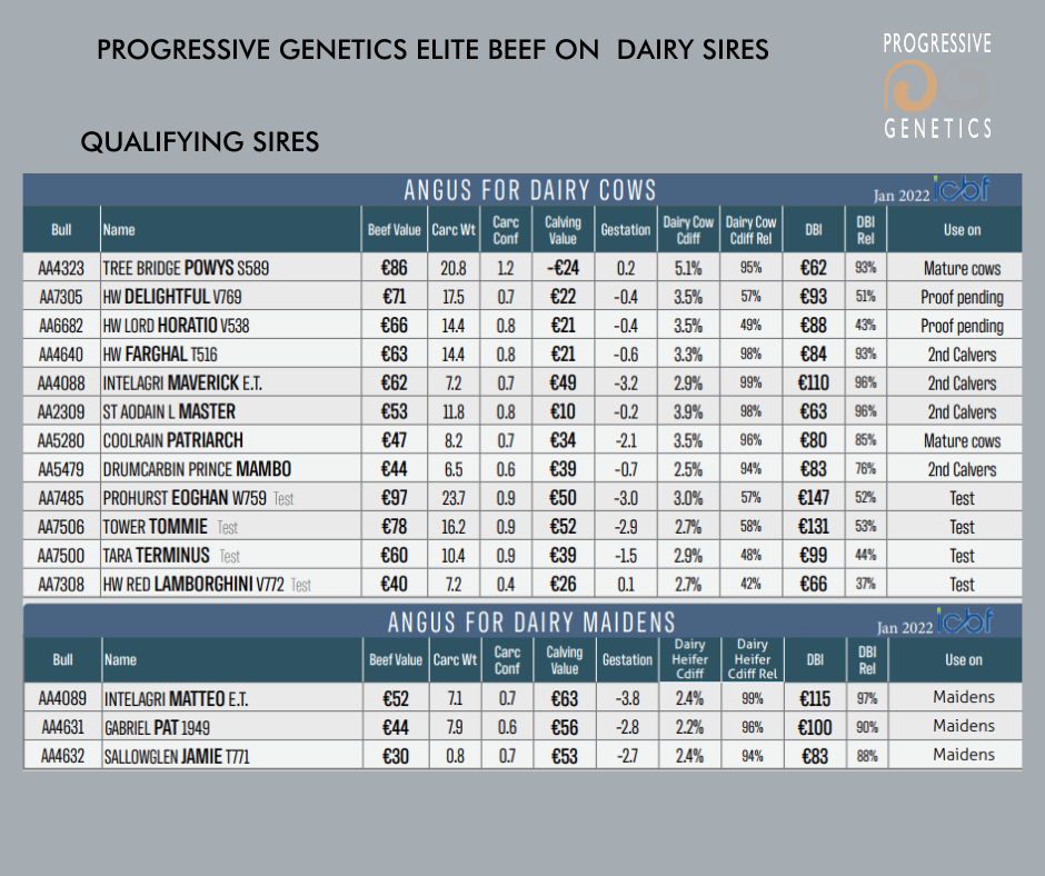 Progressive Genetics Dairy Beef Plus Program - Progressive Genetics