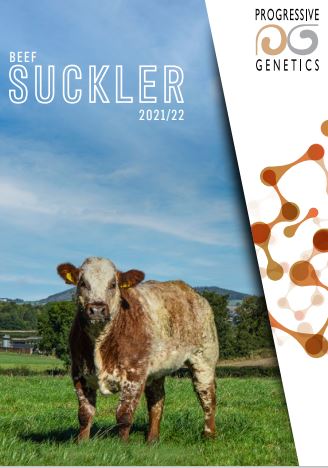 Dairy & Beef Sires Catalogues | Progressive Genetics