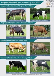 Dairy & Beef Sires Catalogues | Progressive Genetics