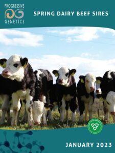 Dairy & Beef Sires Catalogues | Progressive Genetics