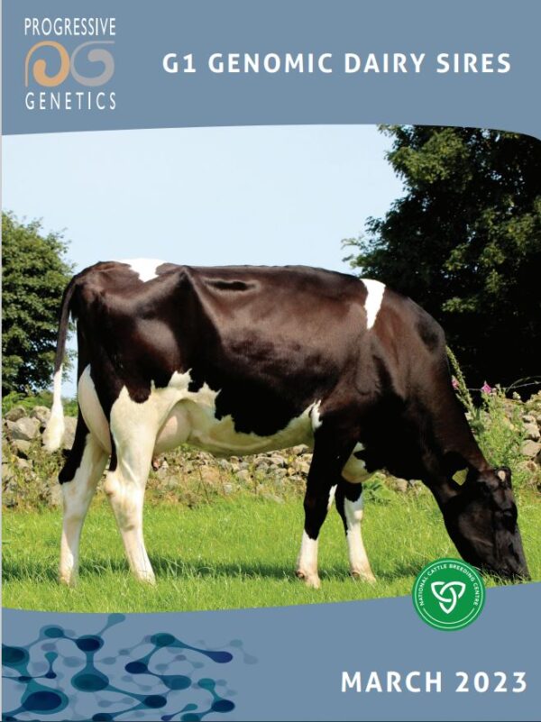 Dairy & Beef Sires Catalogues | Progressive Genetics