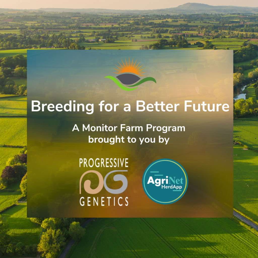 Breeding for a Better Future - Martin Davin - Progressive Genetics