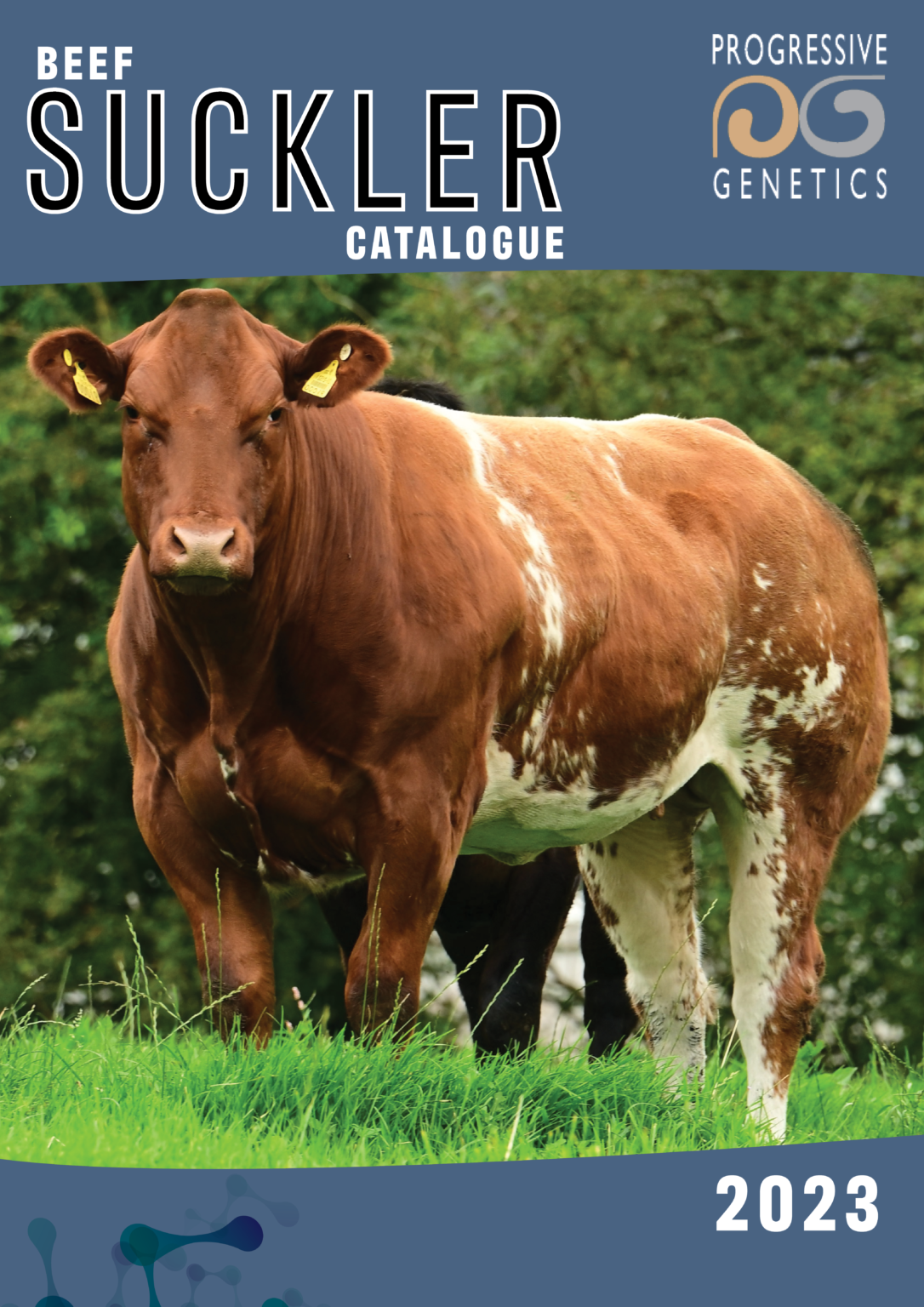 Dairy & Beef Sires Catalogues | Progressive Genetics
