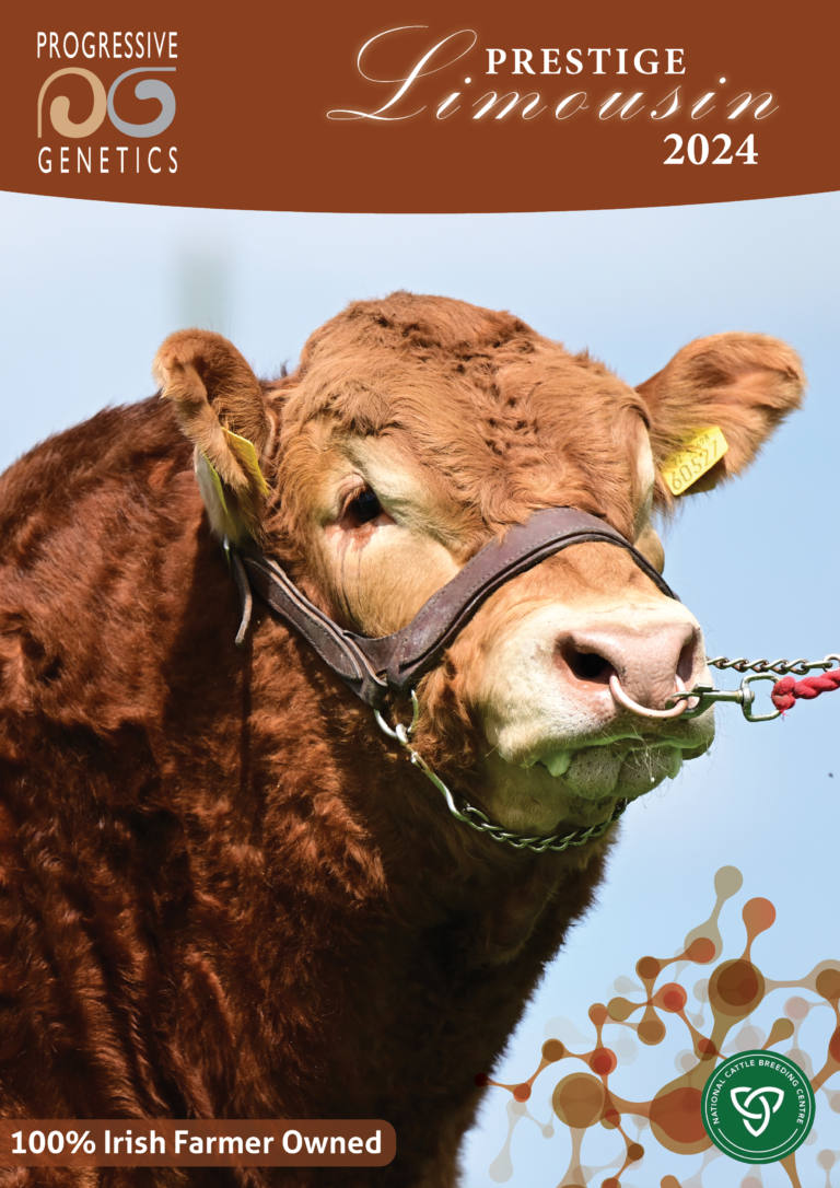 Dairy & Beef Sires Catalogues | Progressive Genetics