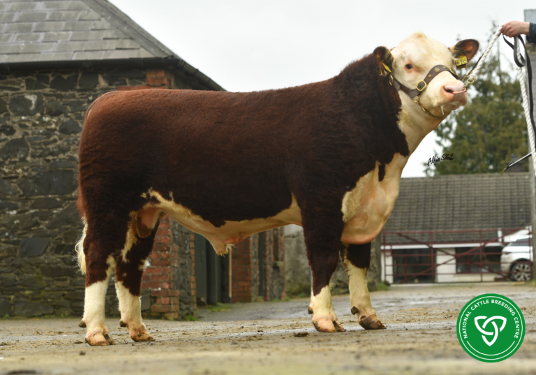 SOLPOLL 1 WATSON - Progressive Genetics