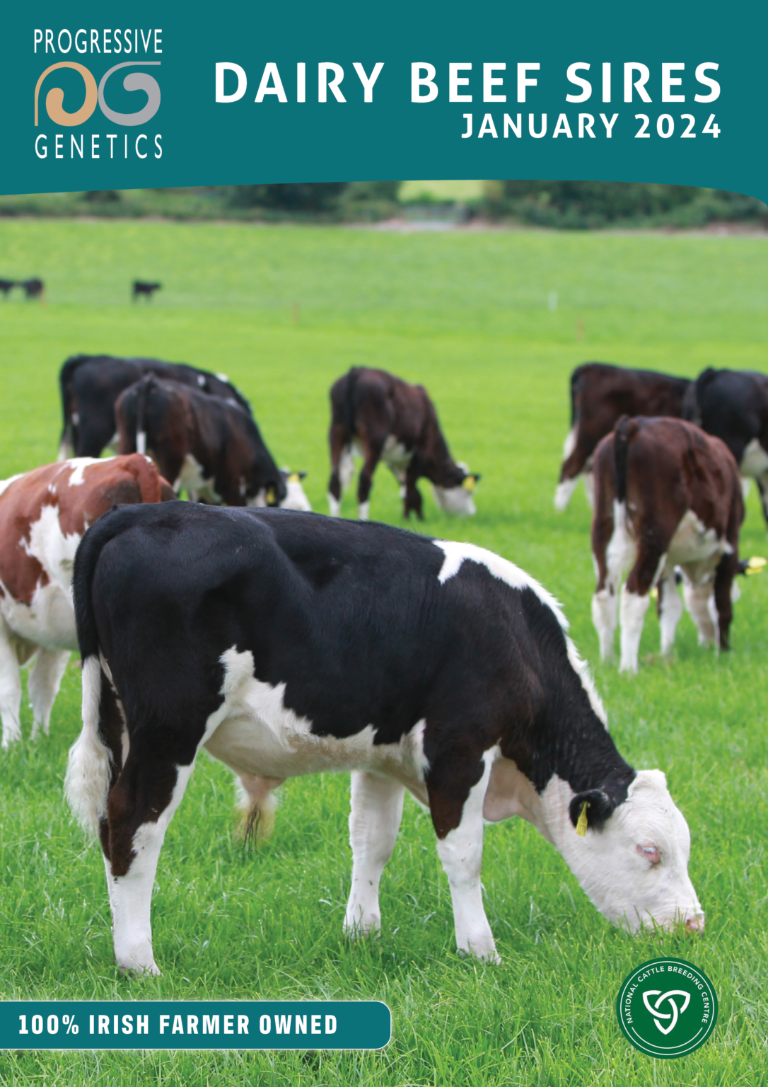 Dairy & Beef Sires Catalogues | Progressive Genetics