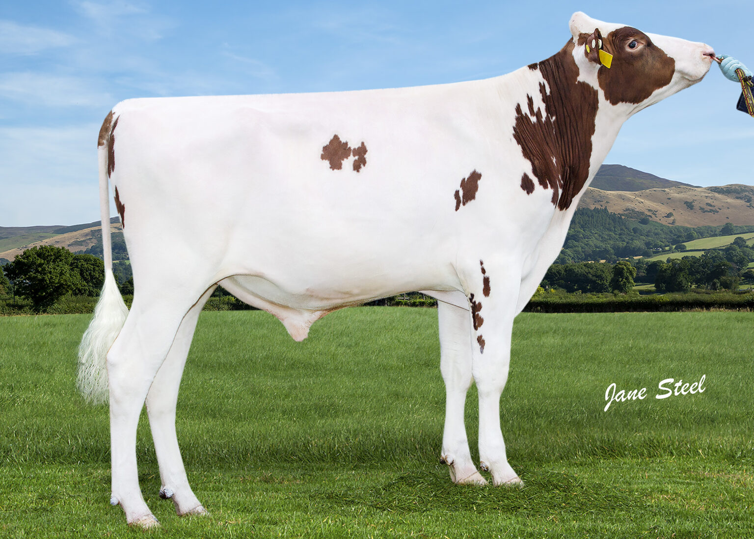 3STAR OH SHARP RED - Progressive Genetics