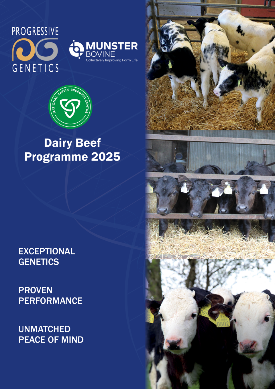 Dairy & Beef Sires Catalogues | Progressive Genetics