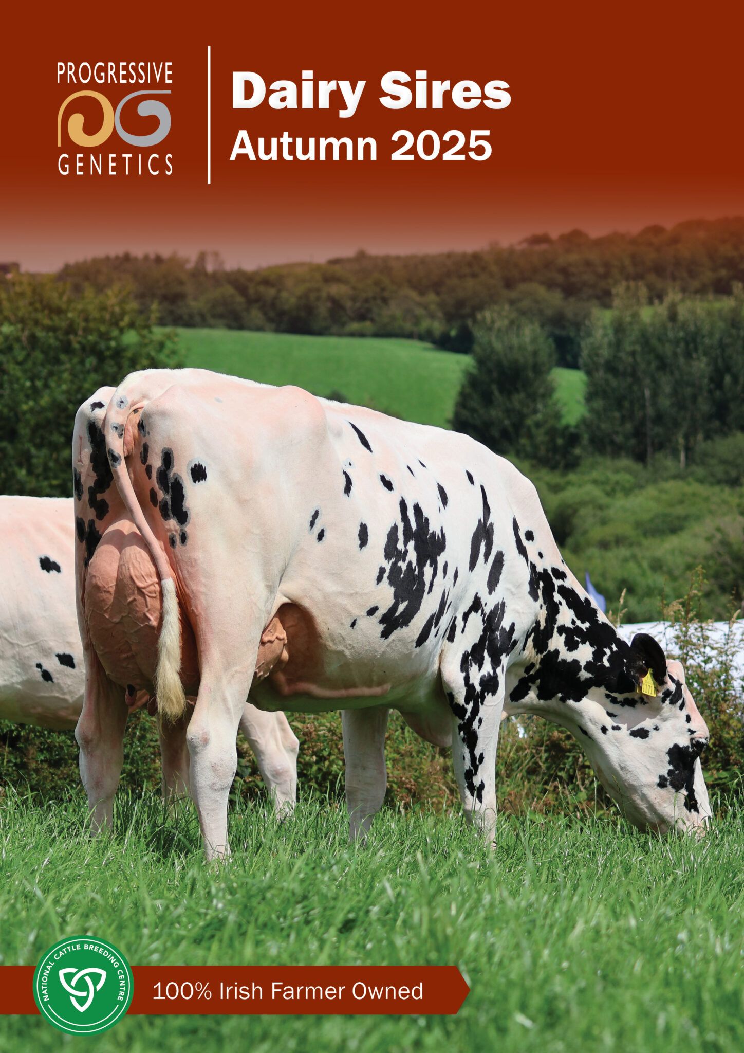 Dairy & Beef Sires Catalogues | Progressive Genetics